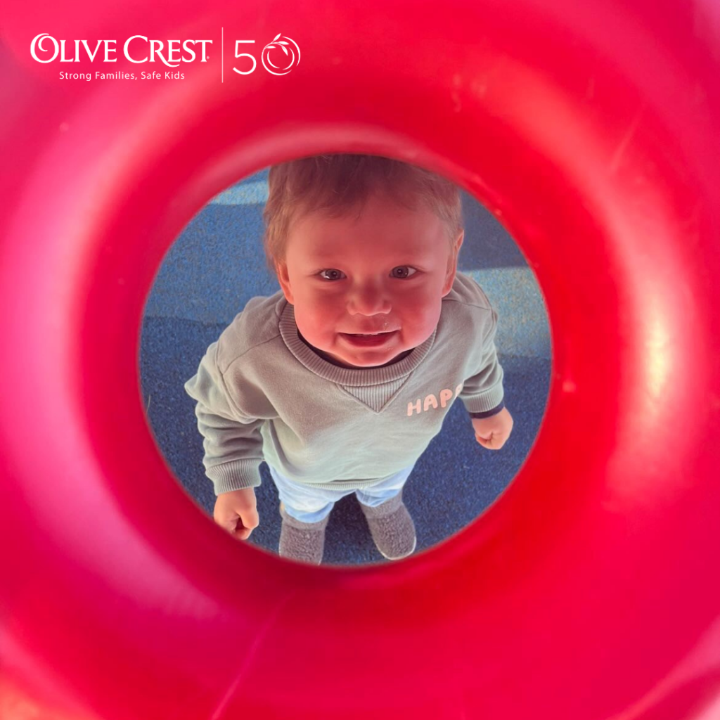 50 Years of Stories - Olive Crest